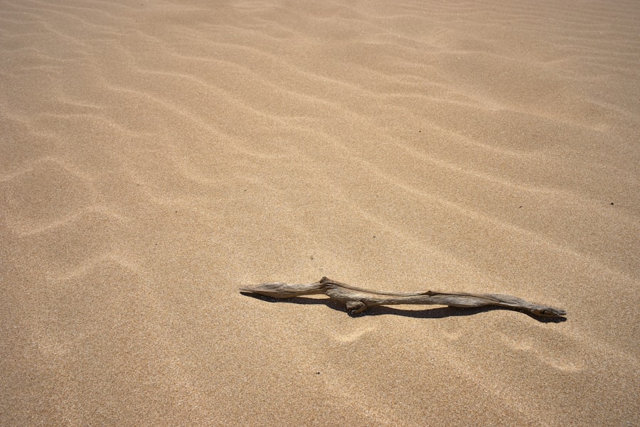 Sandworm: A New Era of Cyberwar and the Hunt for the Kremlin's Most ...