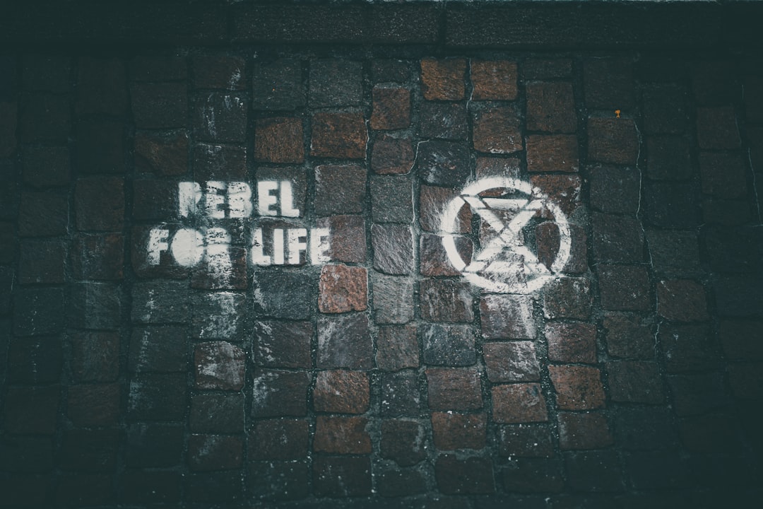 Nevertheless (Trotzdem) by Hans-Ulrich Rudel - Hell Read