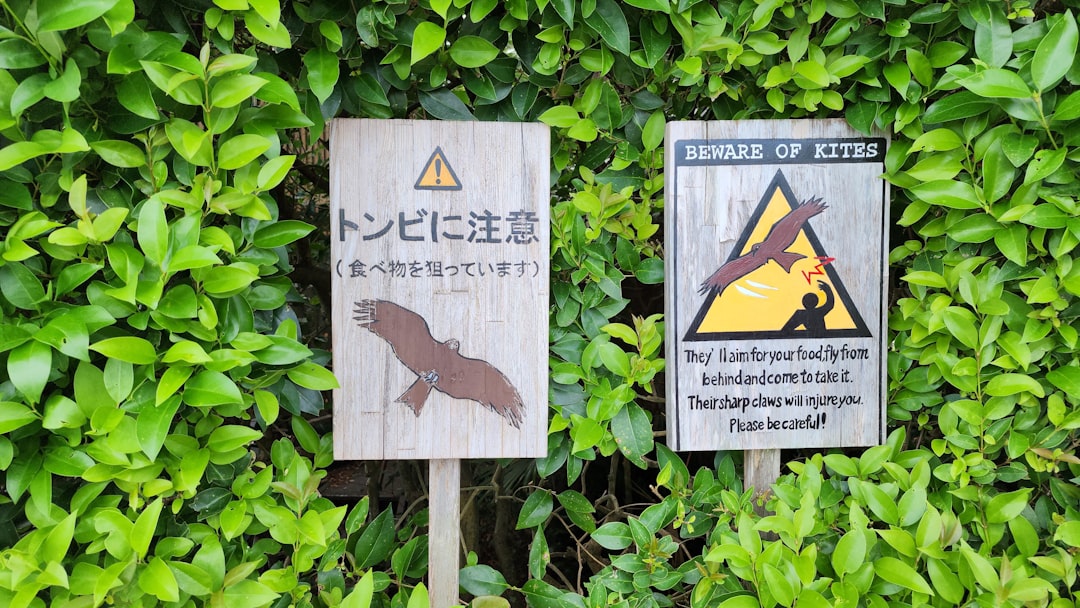 The Lost Art of Reading Nature's Signs by Tristan Gooley - Hell Read